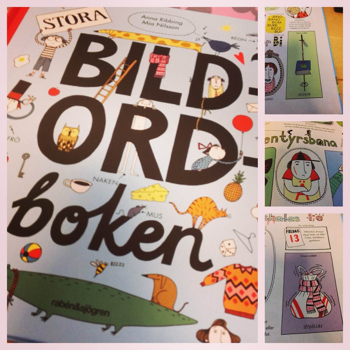 prickigapaula: Bildordboken av Anna Ribbing och Mia Nilsson